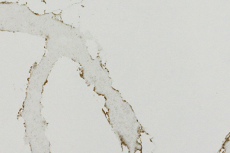 Slabs - Quantra Quartz