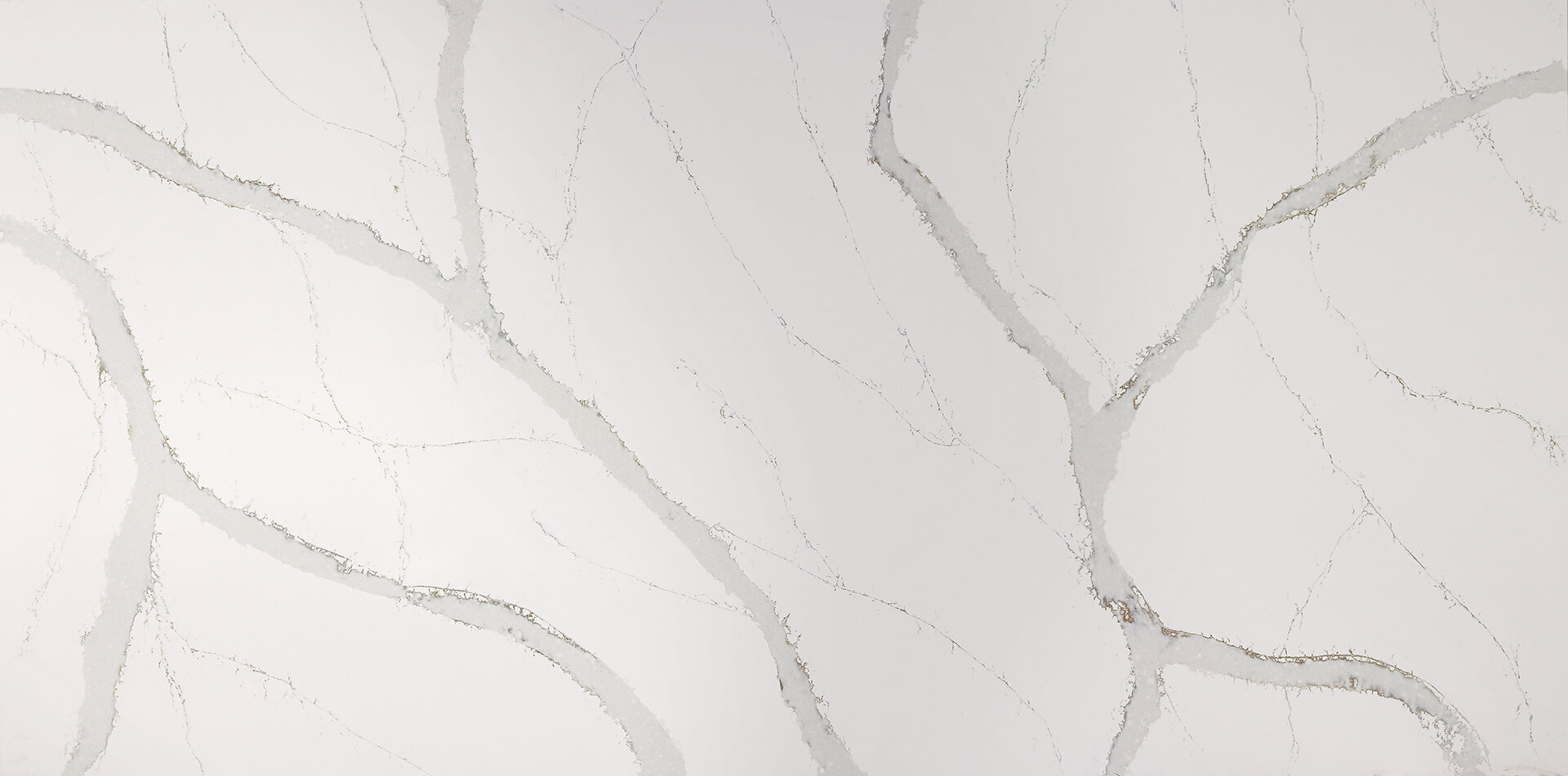 Order Calacatta Oro Slab Online | Quantra Quartz