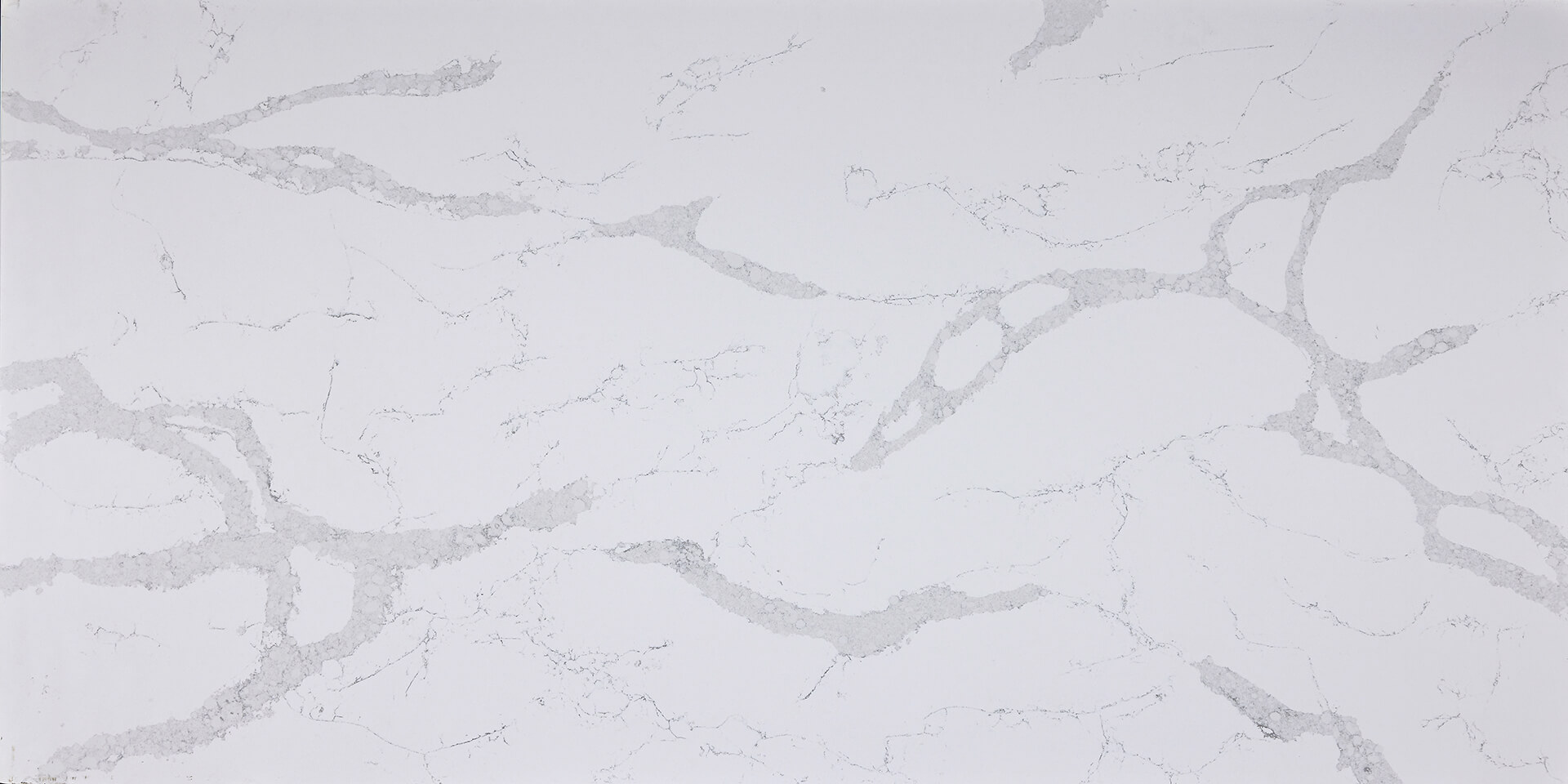Order Calacatta Viola Slab Online | Quantra Quartz