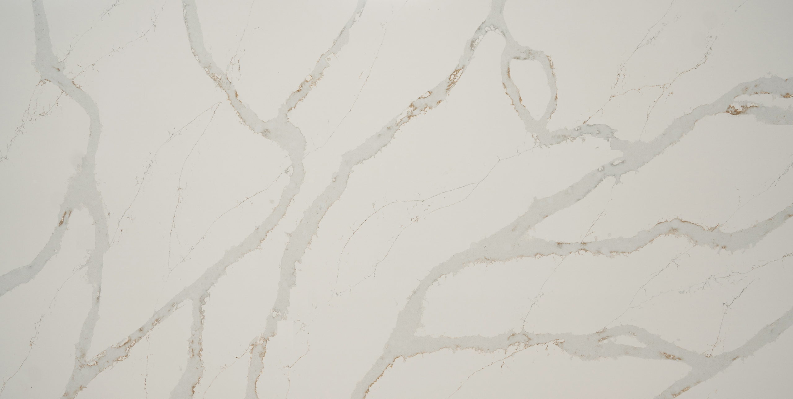 Buy Calacatta Capri Slab Online | Quantra Quartz